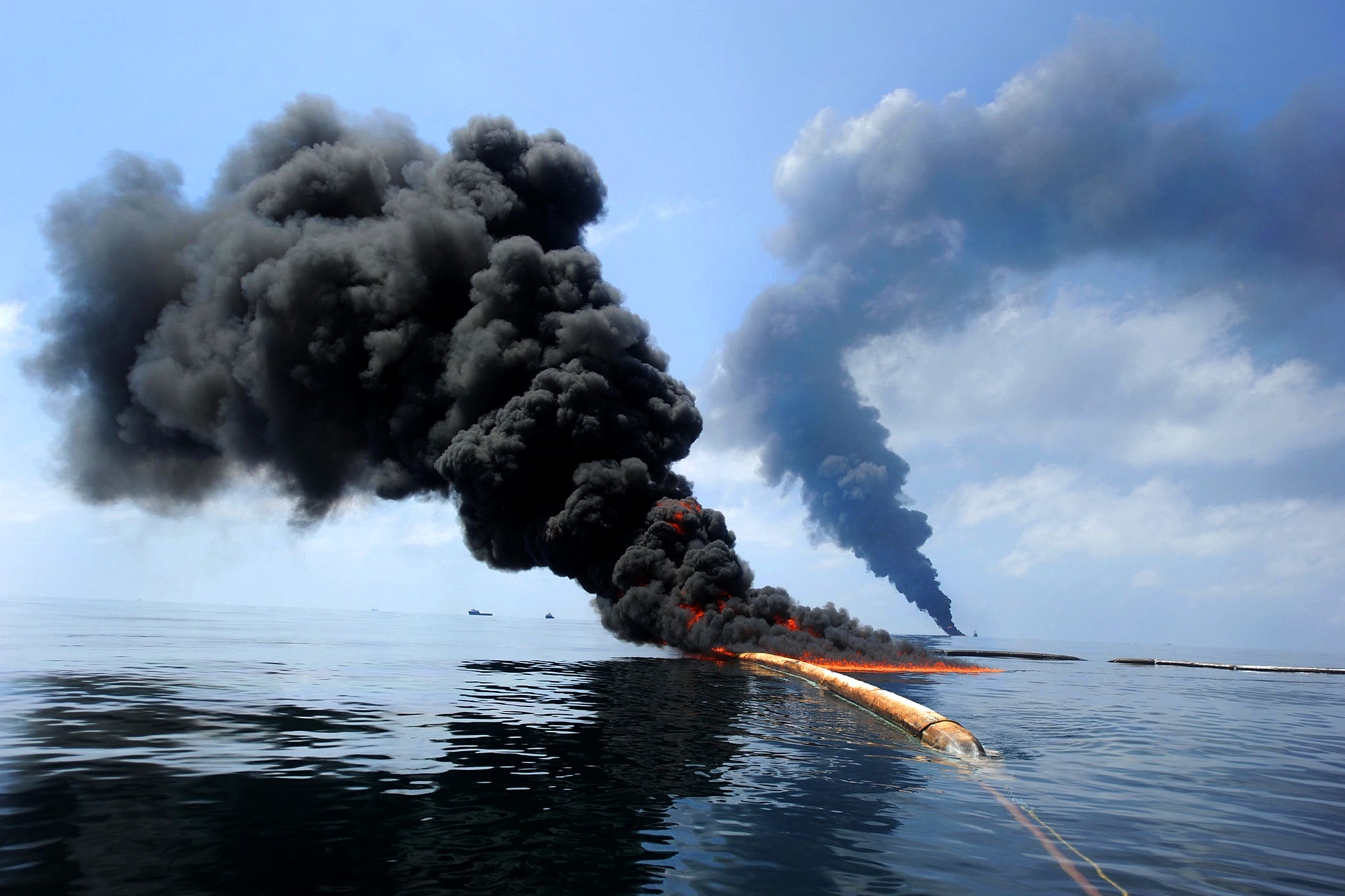 The Deepwater Horizon disaster killed 11 people. Then BP made you and ...