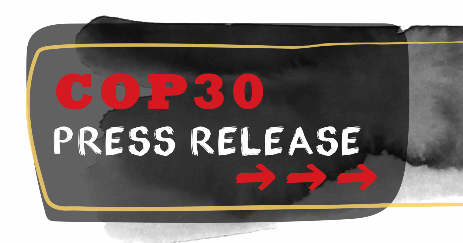 WEO shows oil and coal still set to peak, contrary to U.S.-pushed ...